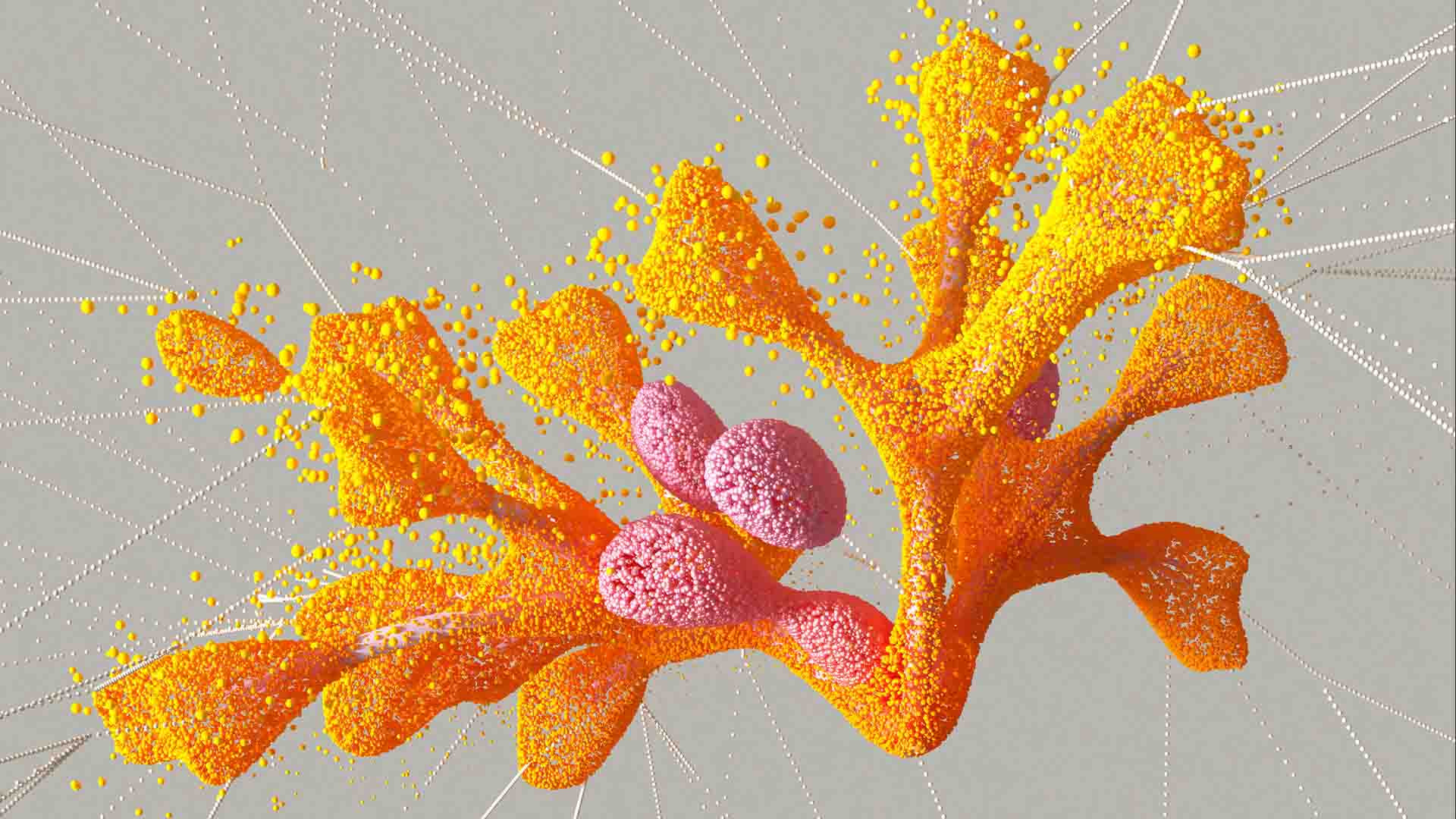 KI-Influencer-Klon: Caryn Marjorie bietet mit CarynAI eine virtuelle ...